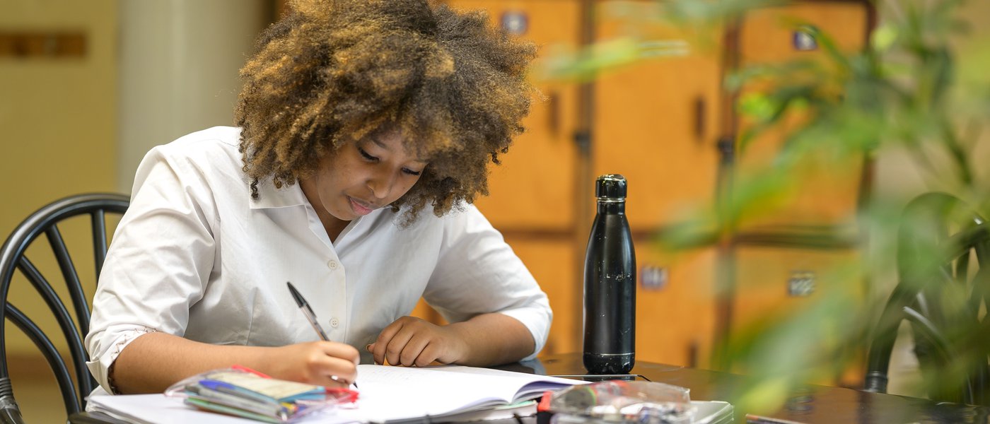 Home - Braeburn School