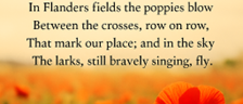 Remembrance Day: In Flanders Fields - Braeburn School